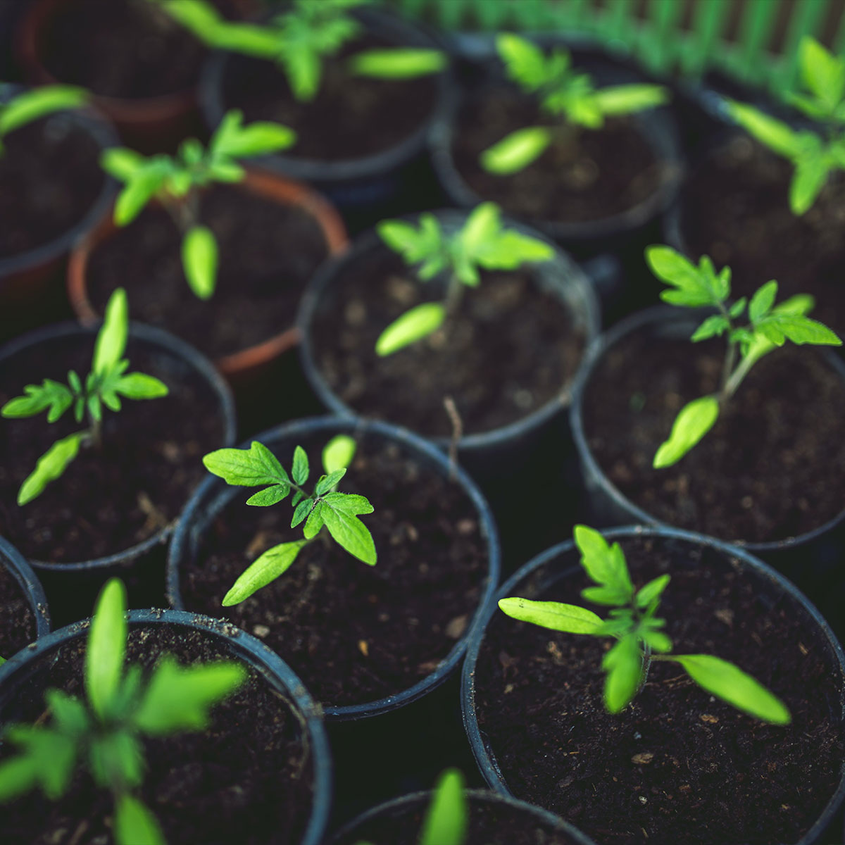 Organic Products and Brands - Truly Heroic